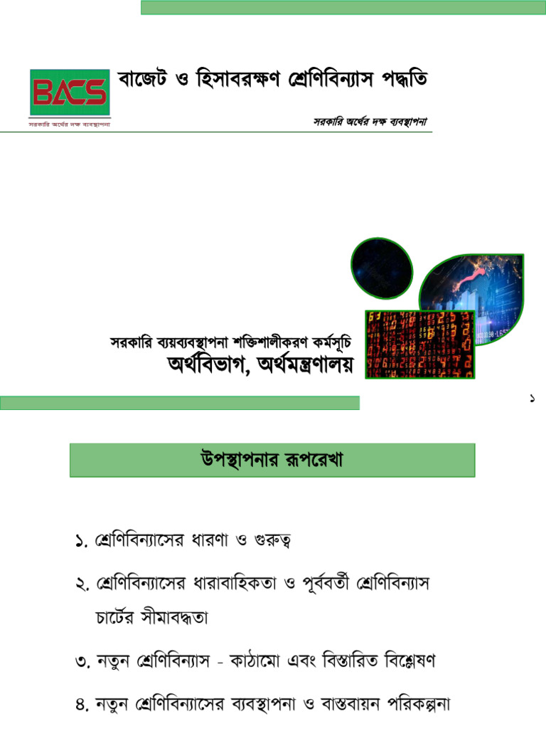 2 BACS Focal Point Presentation | PDF