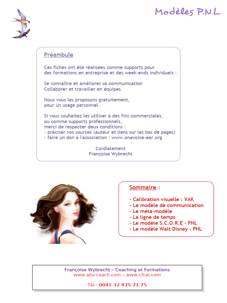 Modèles et Techniques de la PNL | PDF
