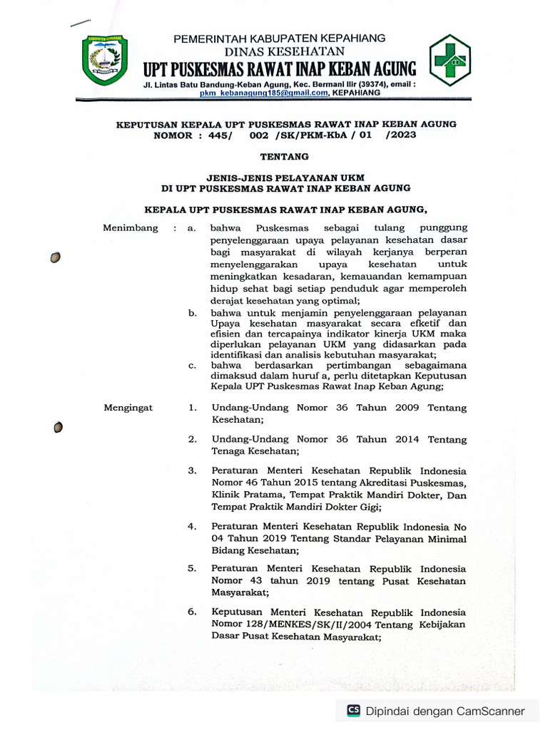 SK Jenis Jenis Pelayanan | PDF