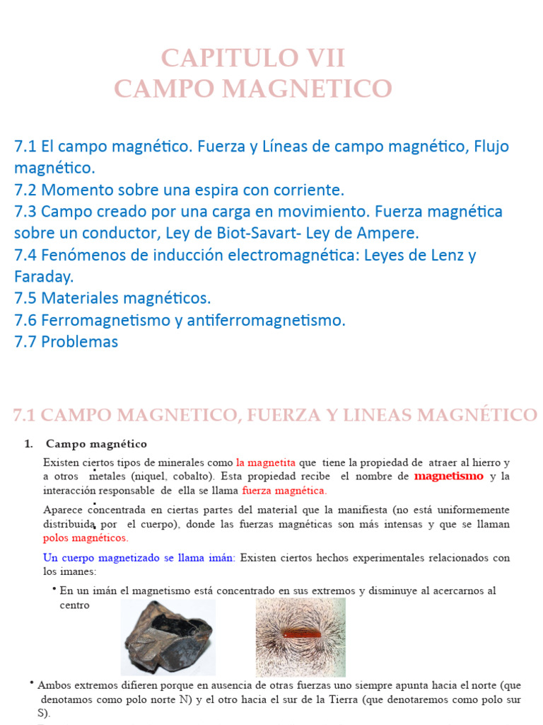 Teoria Teoria Campo Magnetico | PDF