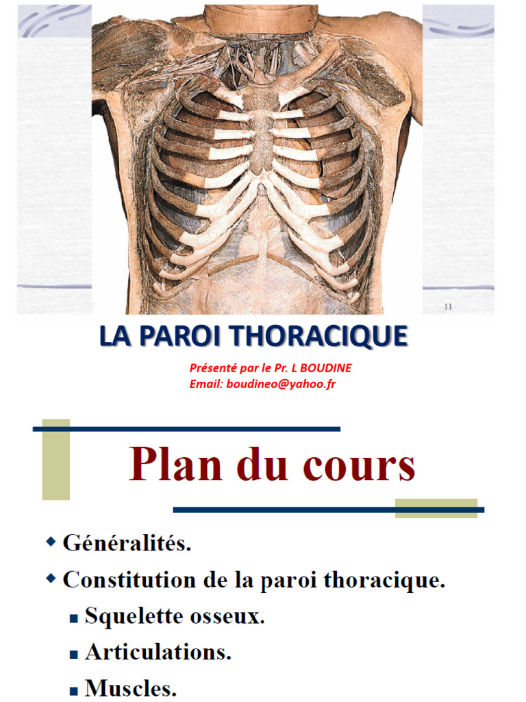1 - La Paroi Thoracique | PDF