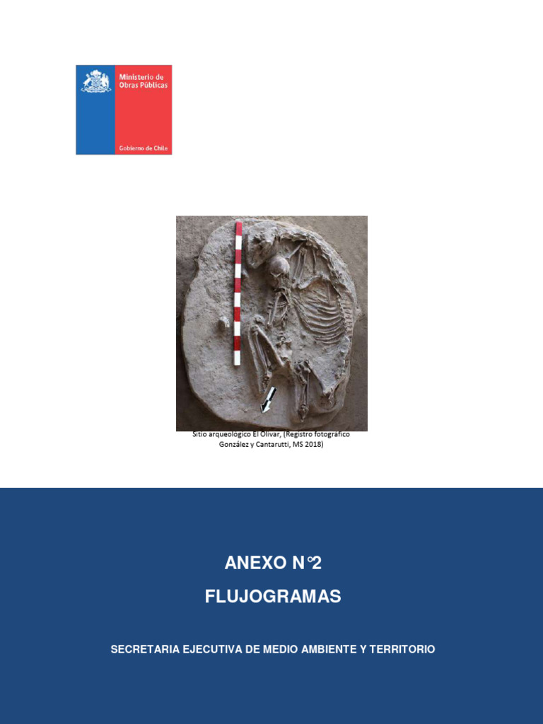 ANEXO Nº2 08.2020 - Compressed | PDF