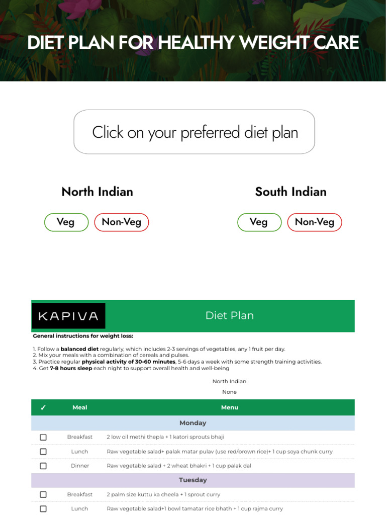 Diet Plan | PDF | Lunch | Meal