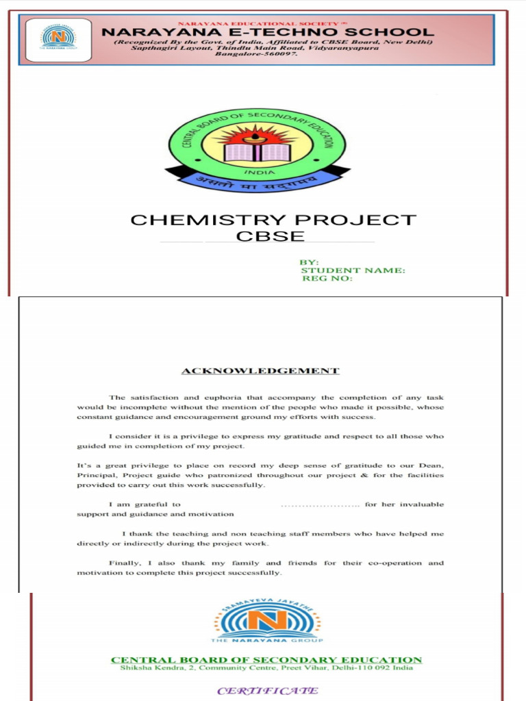 Chemistry Project Class 12 Vitamin C | PDF | Redox | Titration