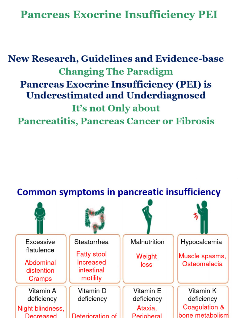 Pancreas Exocrine Insufficiency PEI | PDF