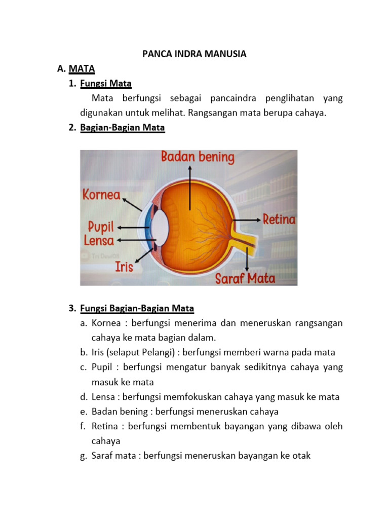 Panca Indra Mata | PDF