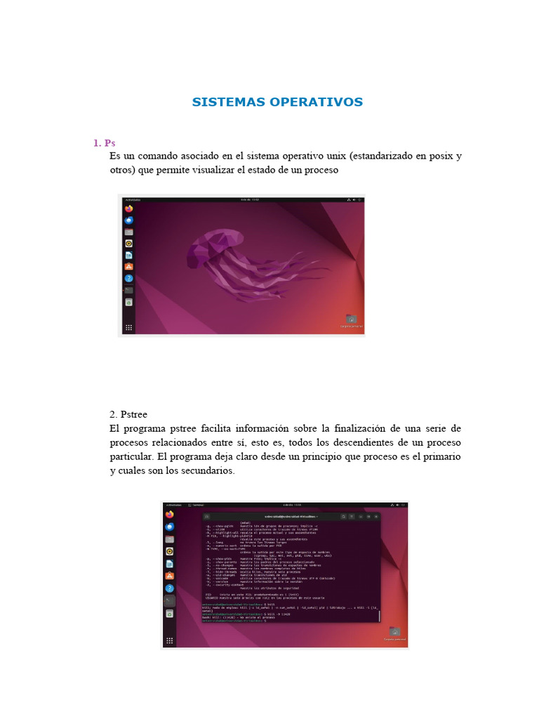 Maquina Virtual | PDF
