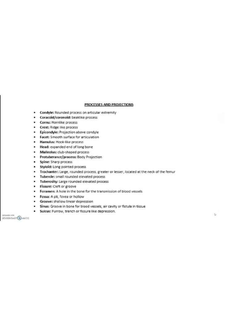 Processes Projections | PDF