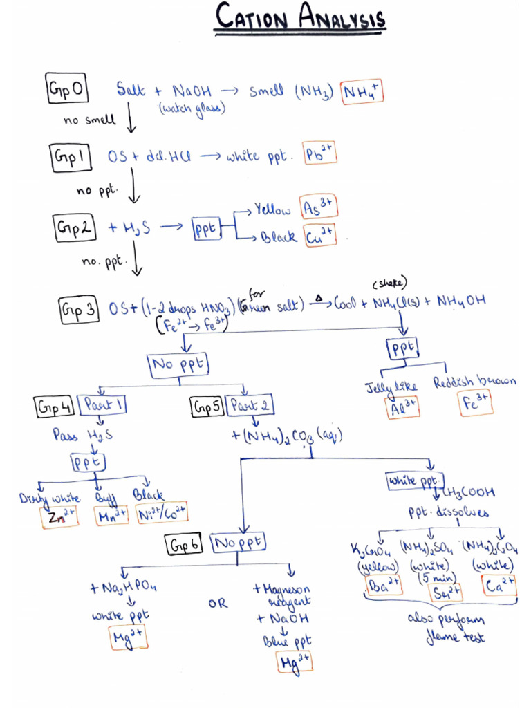 Cation Analysis Roadmap | PDF