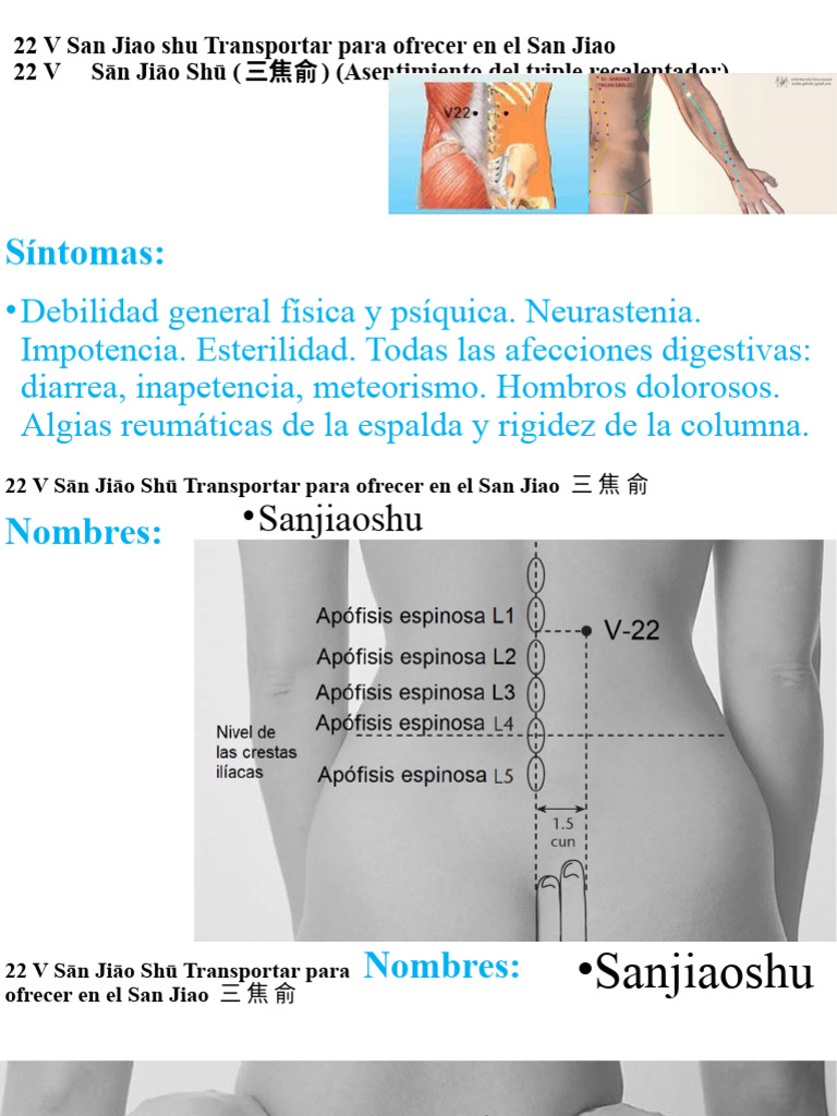 22 V Sān Jiāo ShūTransportar para ofrecer en el San Jiao 三 焦 俞 global ...