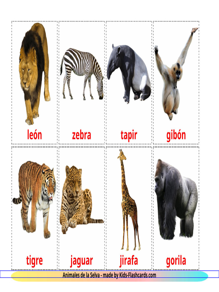 Animales de la Selva: Flashcards | PDF