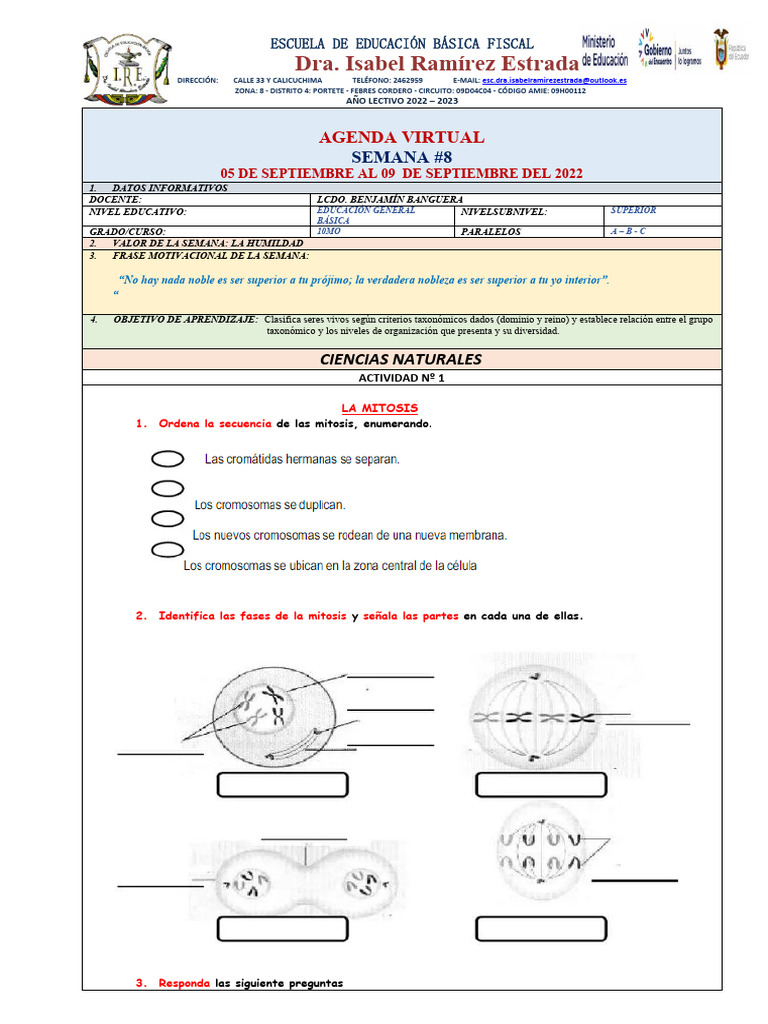 Agenda 10mo - Semana 8 10mo CCNN | PDF | Reproducción | Mitosis