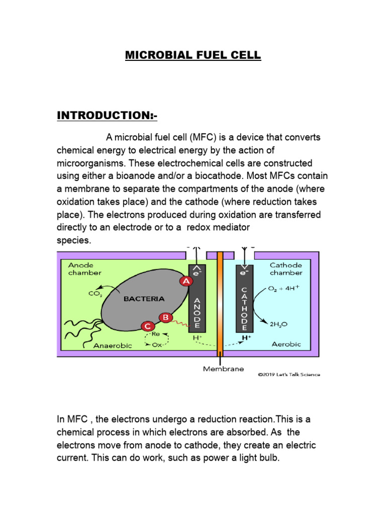 Microbial Fuel Cell | PDF