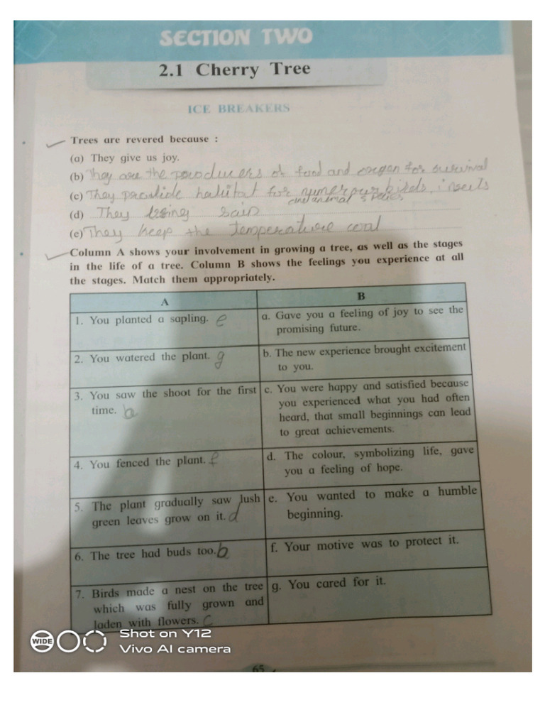 2.1 Cherry Tree (English) | PDF