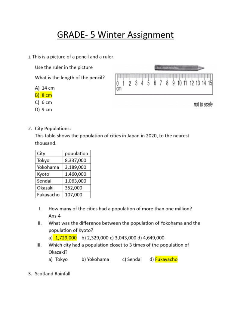 Grade 5 Winter Assignment | PDF | Baggage