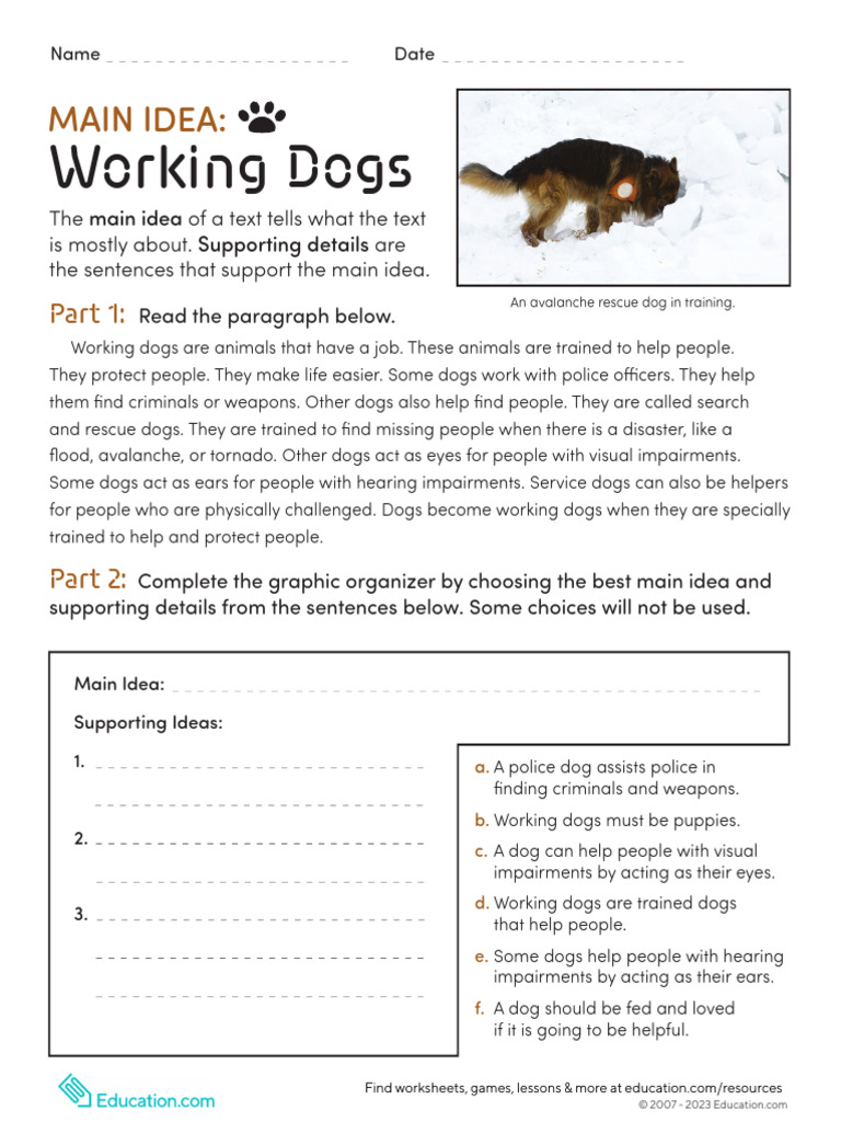 Main Idea: Working Dogs Explained | PDF