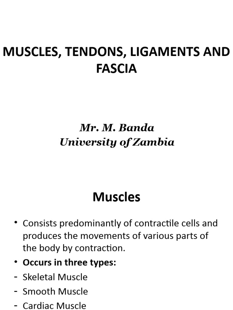 Muscles, Tendons, Ligaments, Fascia | PDF
