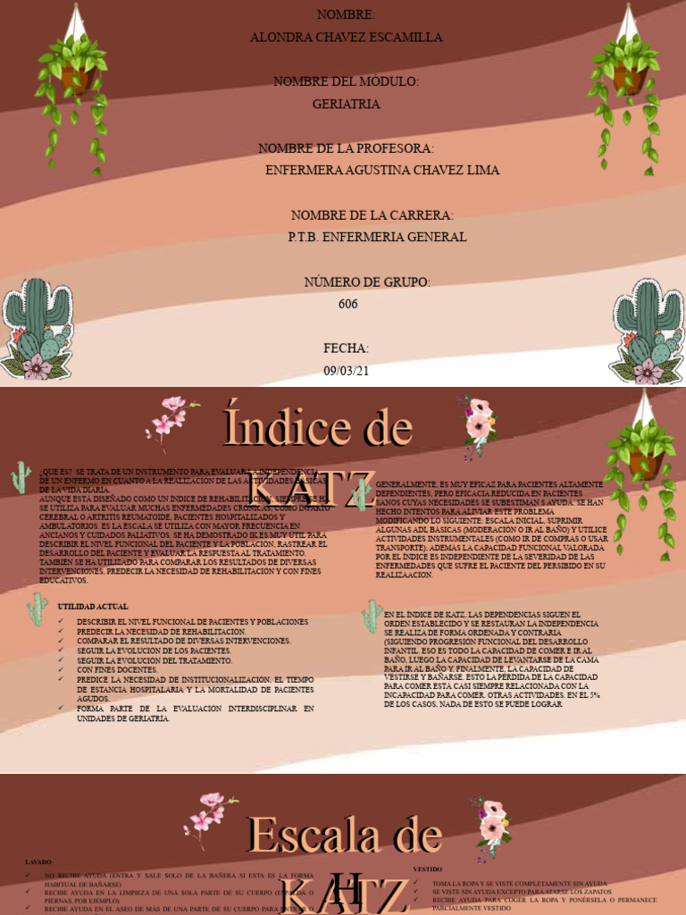 Indice de Katz. | PDF | Enfermería | Epidemiología