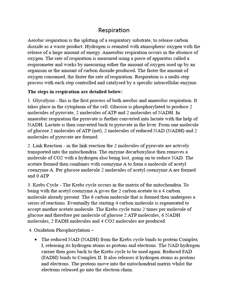 Respiration | PDF | Cellular Respiration | Adenosine Triphosphate