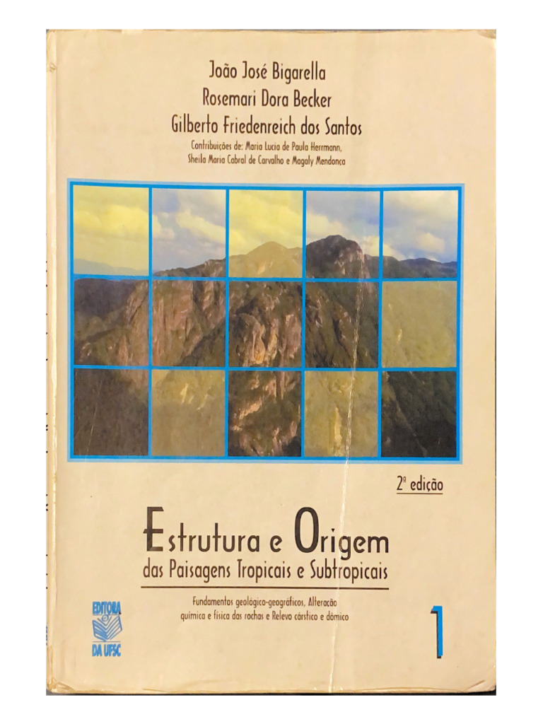 Estrutura e Origem Bigarella | PDF
