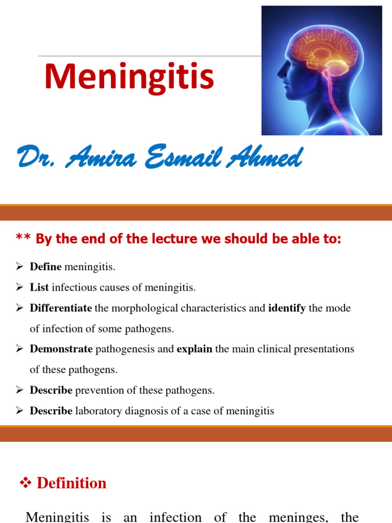 Meningitis 2023-2024 Last | PDF