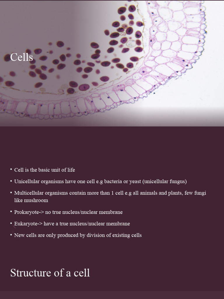 Chapter 2 Cells | PDF | Cell (Biology) | Cell Membrane