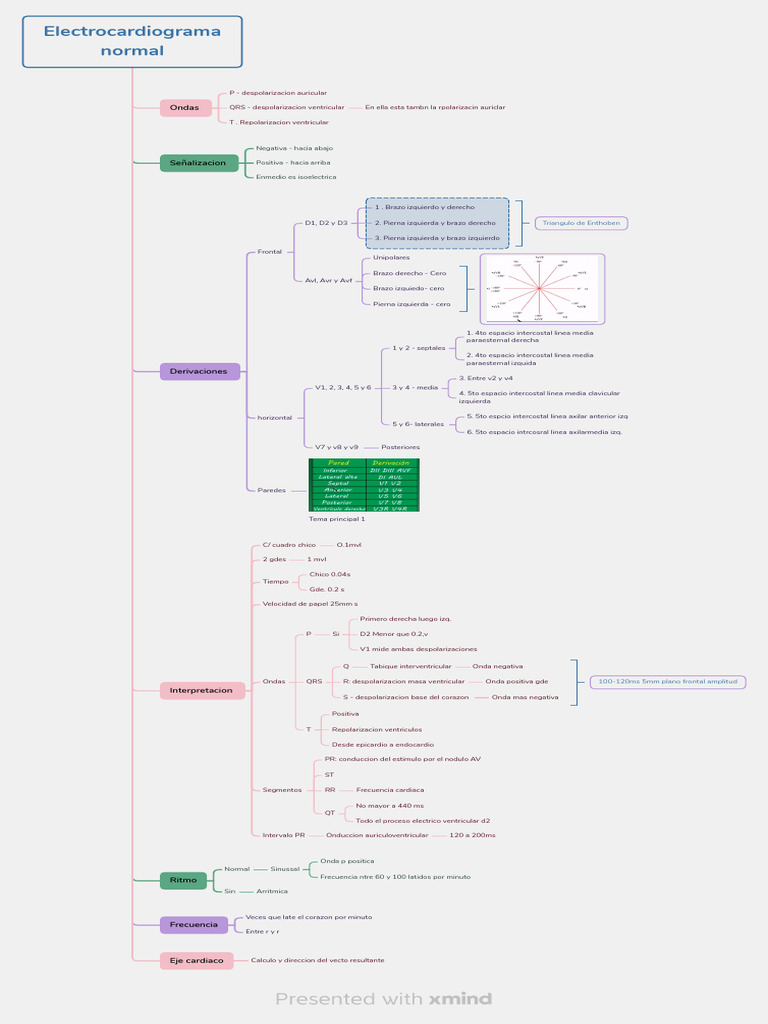 Cap 11, 12 y 13 Guyton | PDF | Electrocardiografia | Órgano (anatomía)