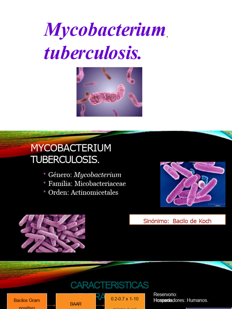 Tuberculosis | PDF