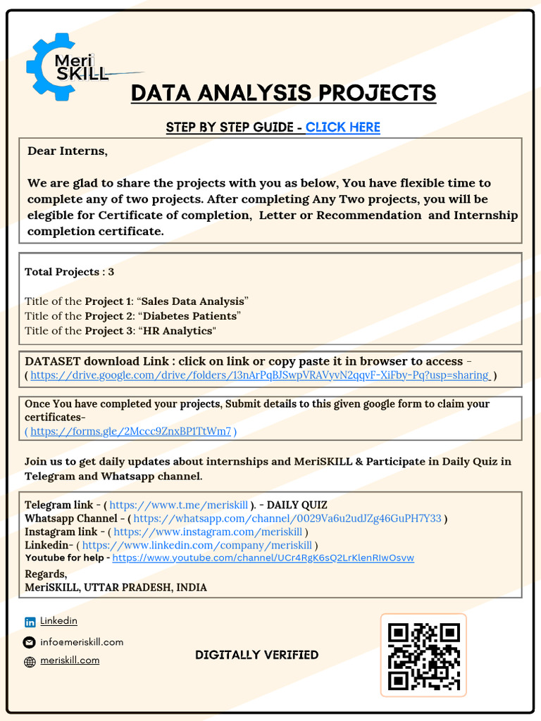 MeriSKILL Internship Project Details | PDF | Business | Computers
