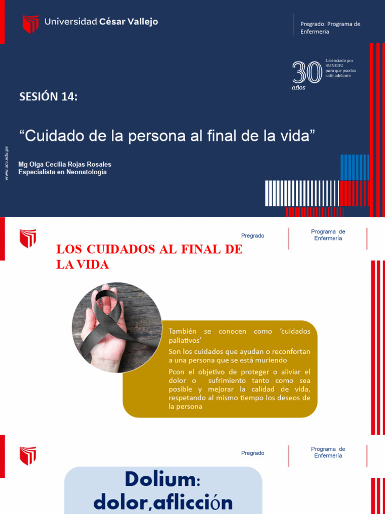 Cuidado de La Persona Al Final de La Vida | PDF | Autosuperación | Bienestar
