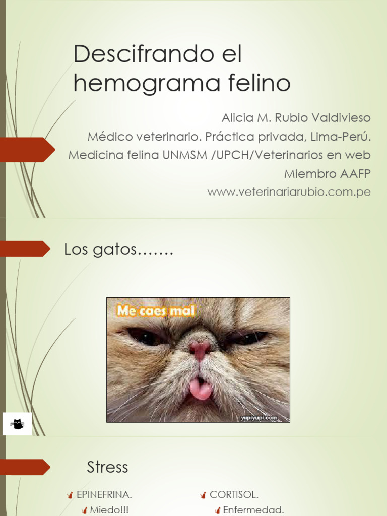02 Descifrando El Hemograma Felino | PDF