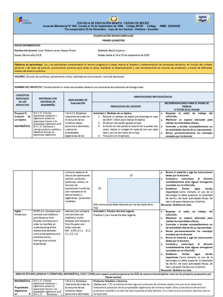 Planificación P0 - 10mo | PDF | Número Real | Matemáticas