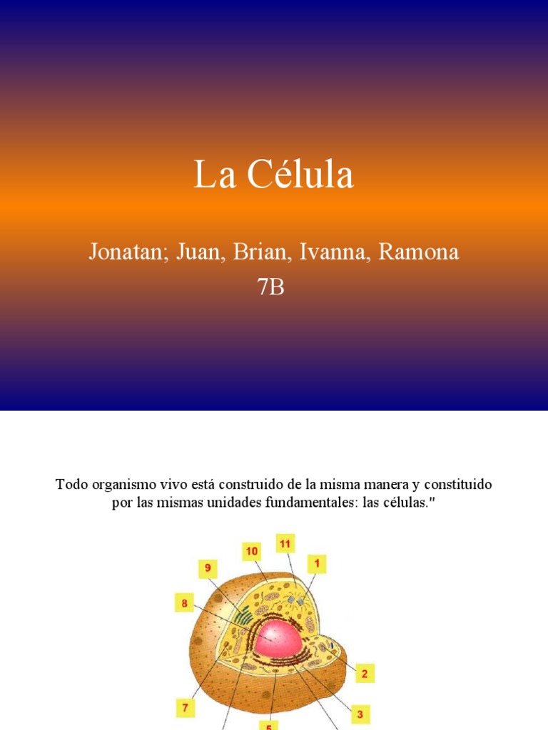 La Célula 7mo. "B" | PDF