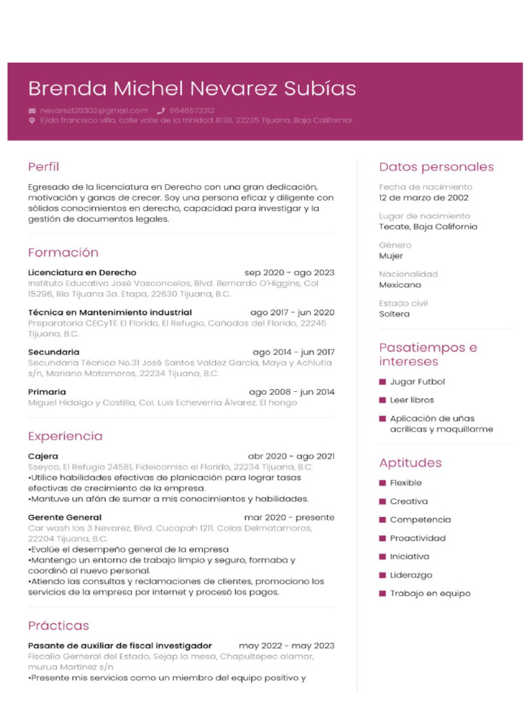 Currículum Ejemplo | PDF