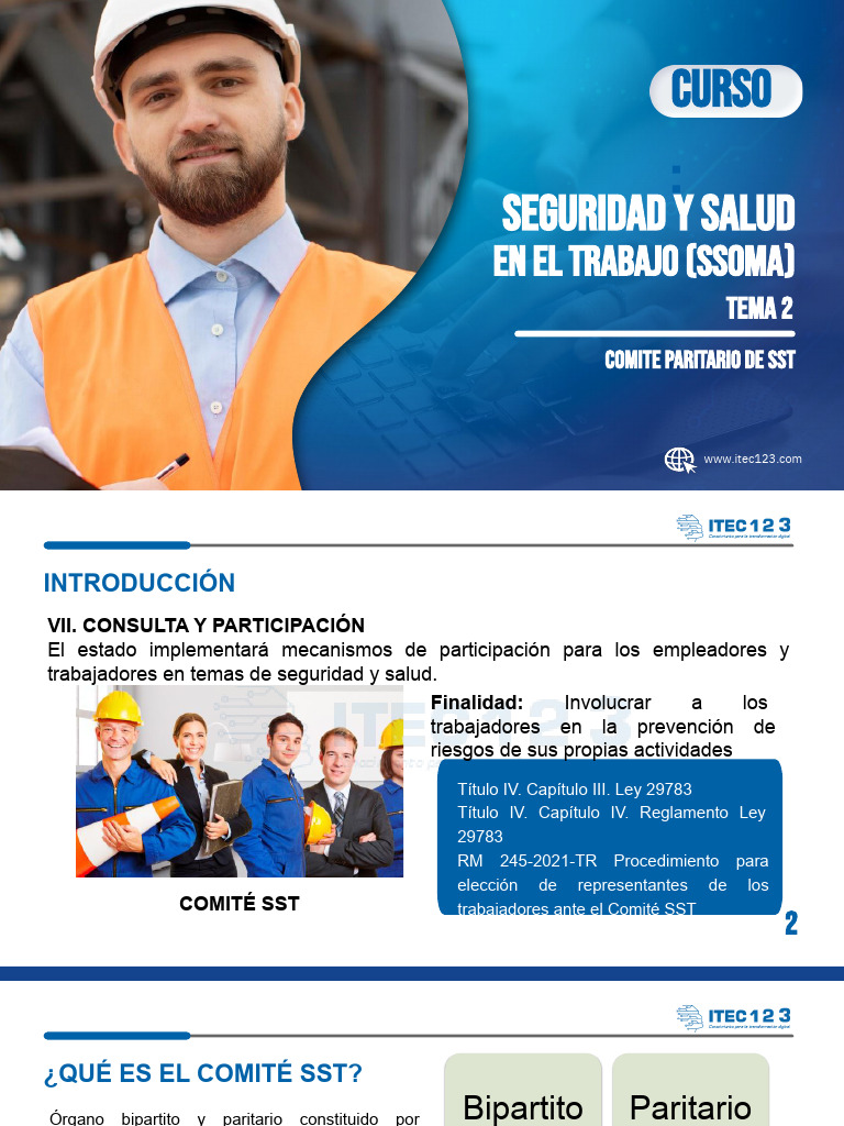 Tema 2 - Comite SST | PDF