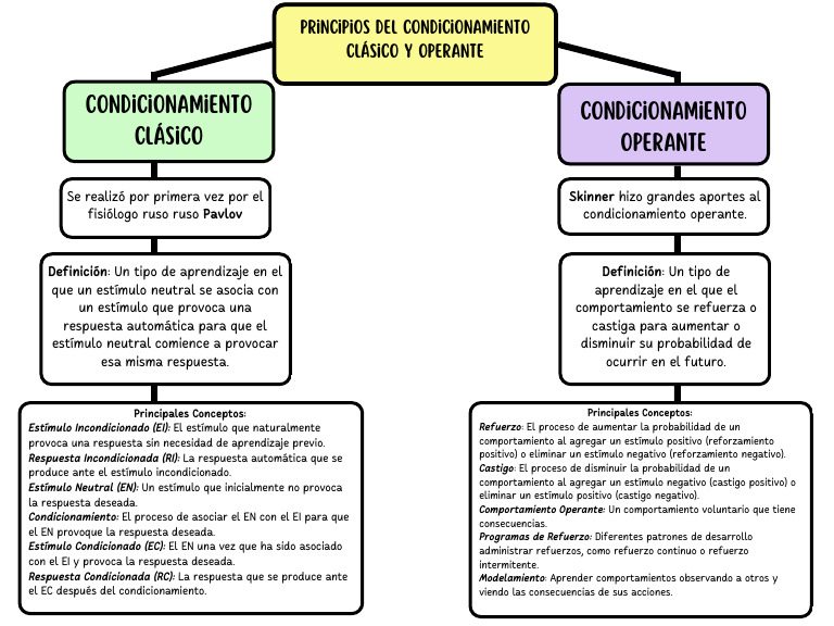 Colorful Doodle Concept Map Graph | PDF