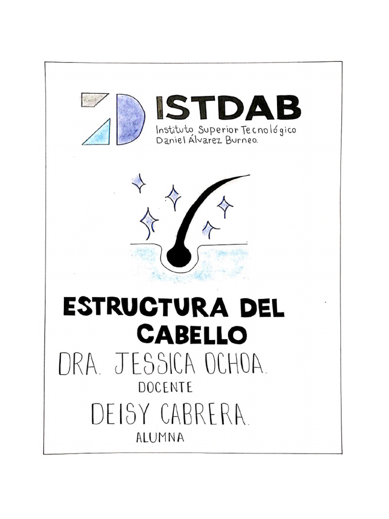 Estructura Capilar | PDF