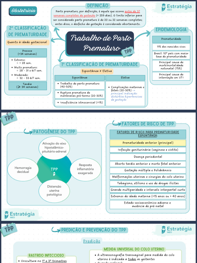 Obstetrícia - TPP | PDF