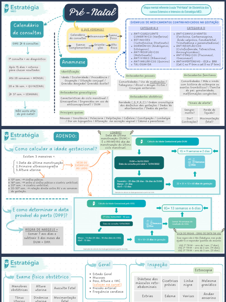Material-Da-Aula-Obstetrícia - Extensivo-Pré-Natal - Mapa-Mental | PDF ...