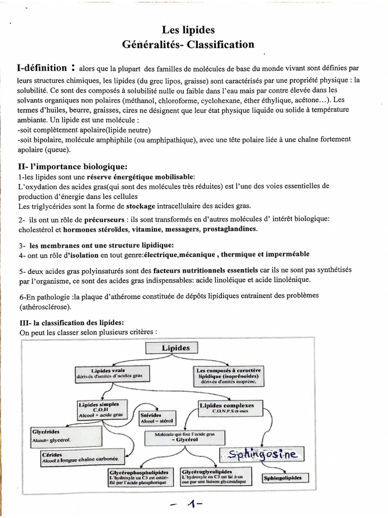 14 Les Lipides (Généralités Classification) | PDF