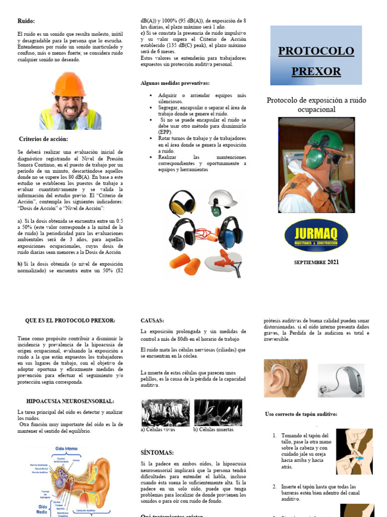 Triptico Prexor | PDF