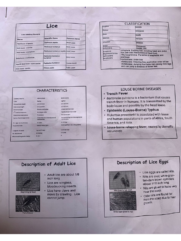 Lice Handout From Lecturer | PDF