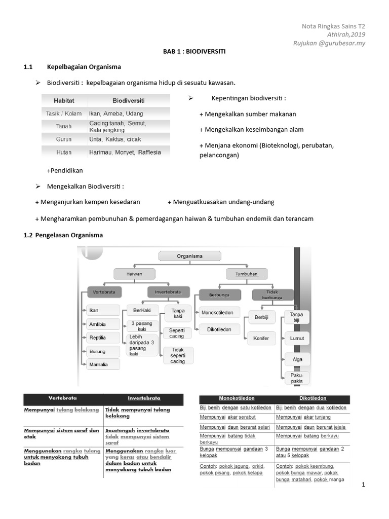 Nota Ringkas Sains Tingkatan 2 | PDF