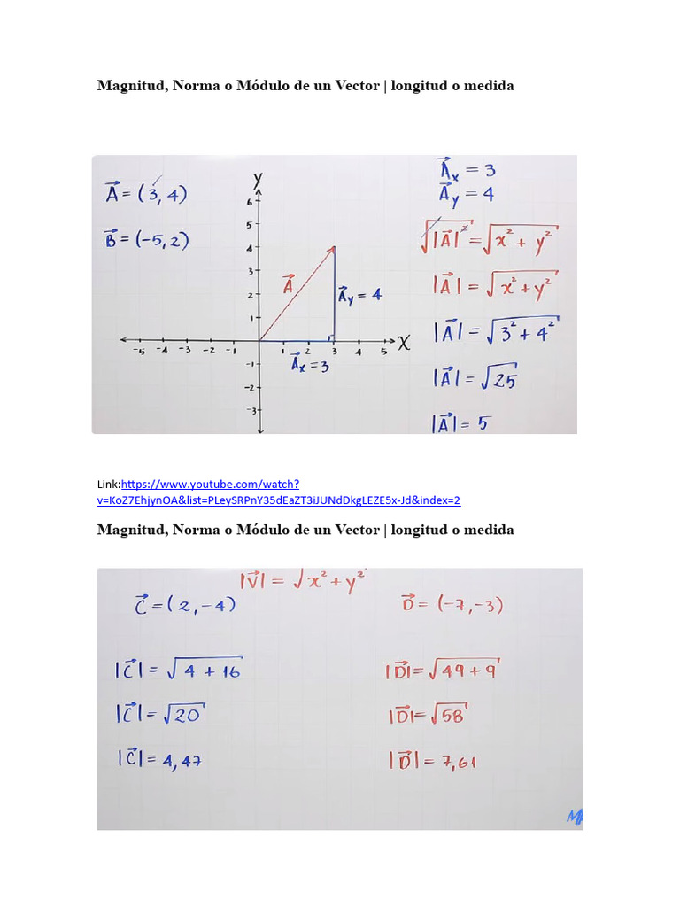 Magnitud Norma o Módulo de Un Vector Longitud o Medida | PDF