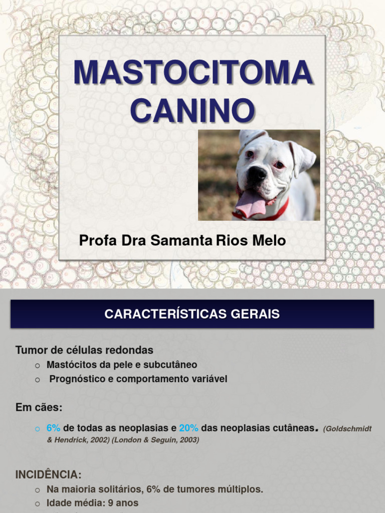 Tratamento de Mastocitoma Canino | PDF | Câncer | Remédio