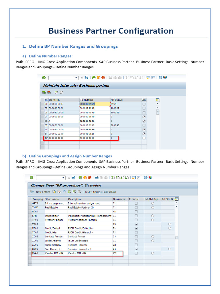 SAP Business Partner Configuration PDF