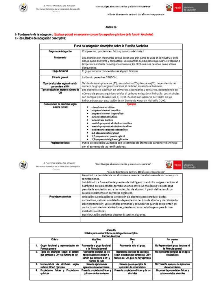 Actividad de Aprendizaje N°06 | PDF