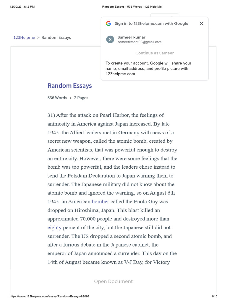 Essay - 536 Words - 123 Help Me | PDF
