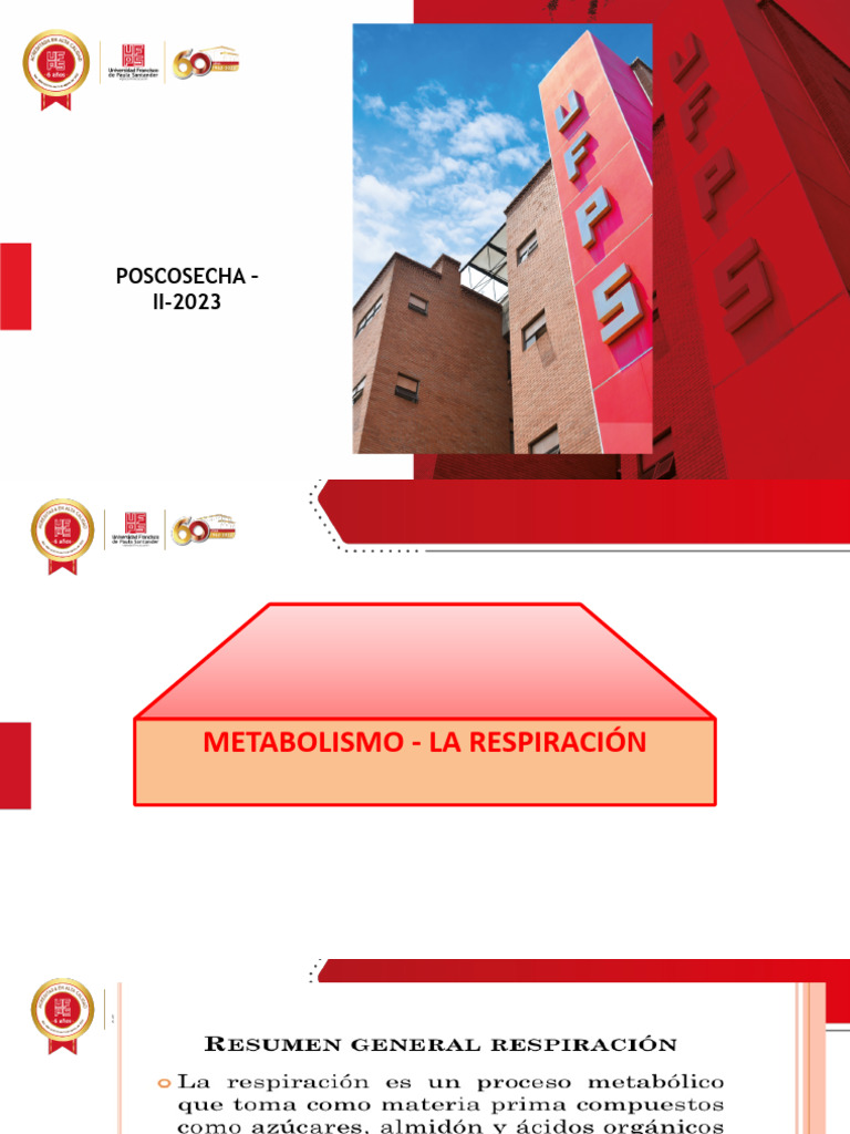 Posc - 9-II-2023 | PDF | Respiración celular | Trifosfato de adenosina