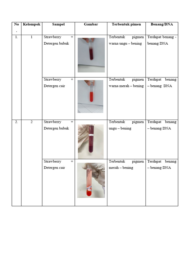 Hasil Isolasi DNA | PDF